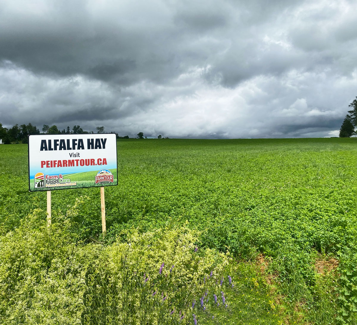 PEI FARM TOUR - Farm and Food Care PEI