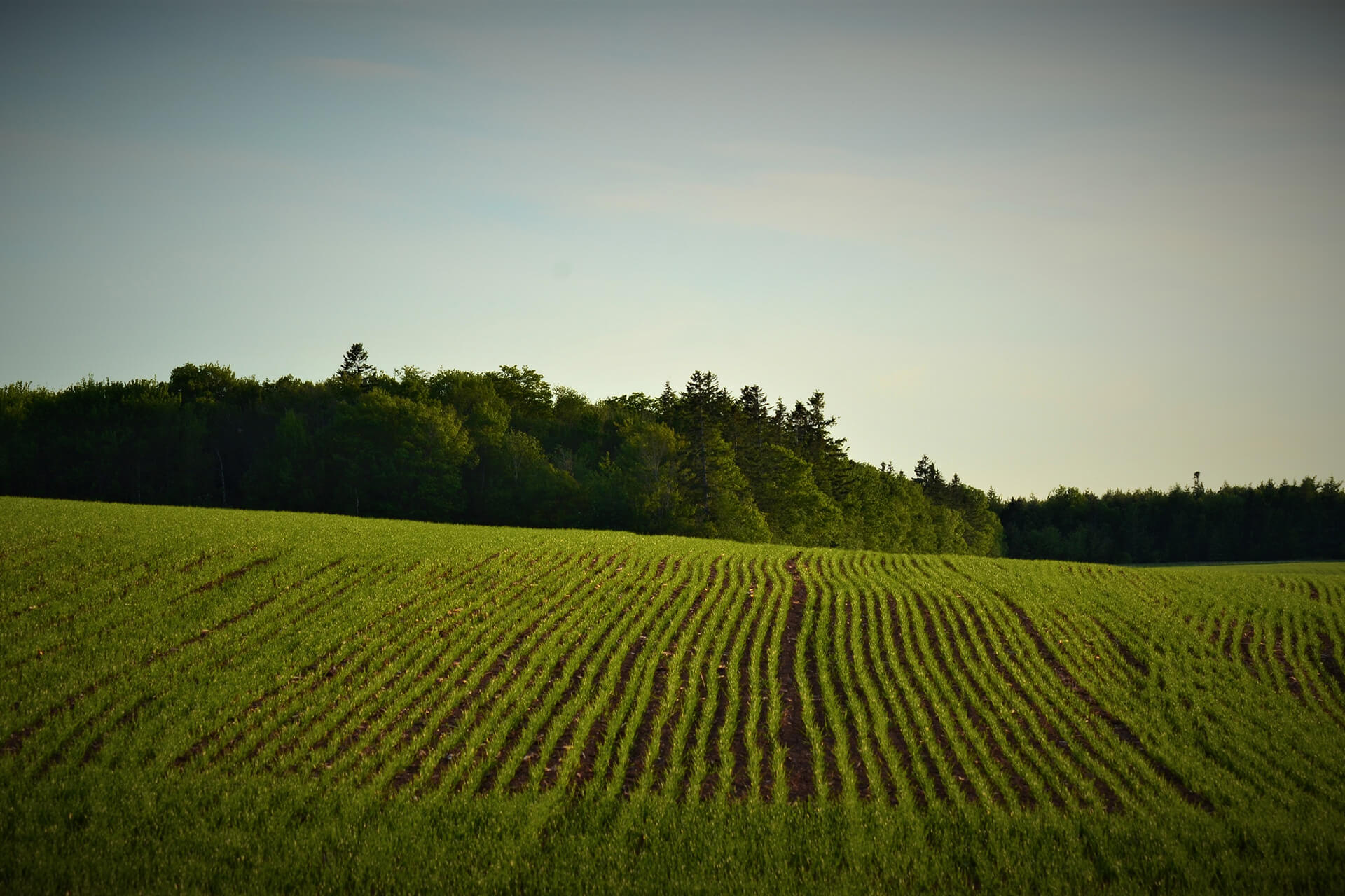 Farming and the Environment - Farm and Food Care PEI